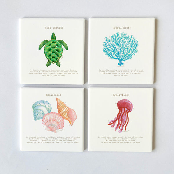 Beach Life Anatomy Coasters - Dishique